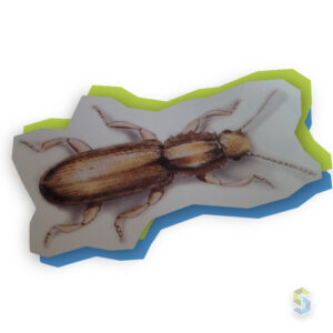 Siscoplagas - Sistemas de Control de Plagas